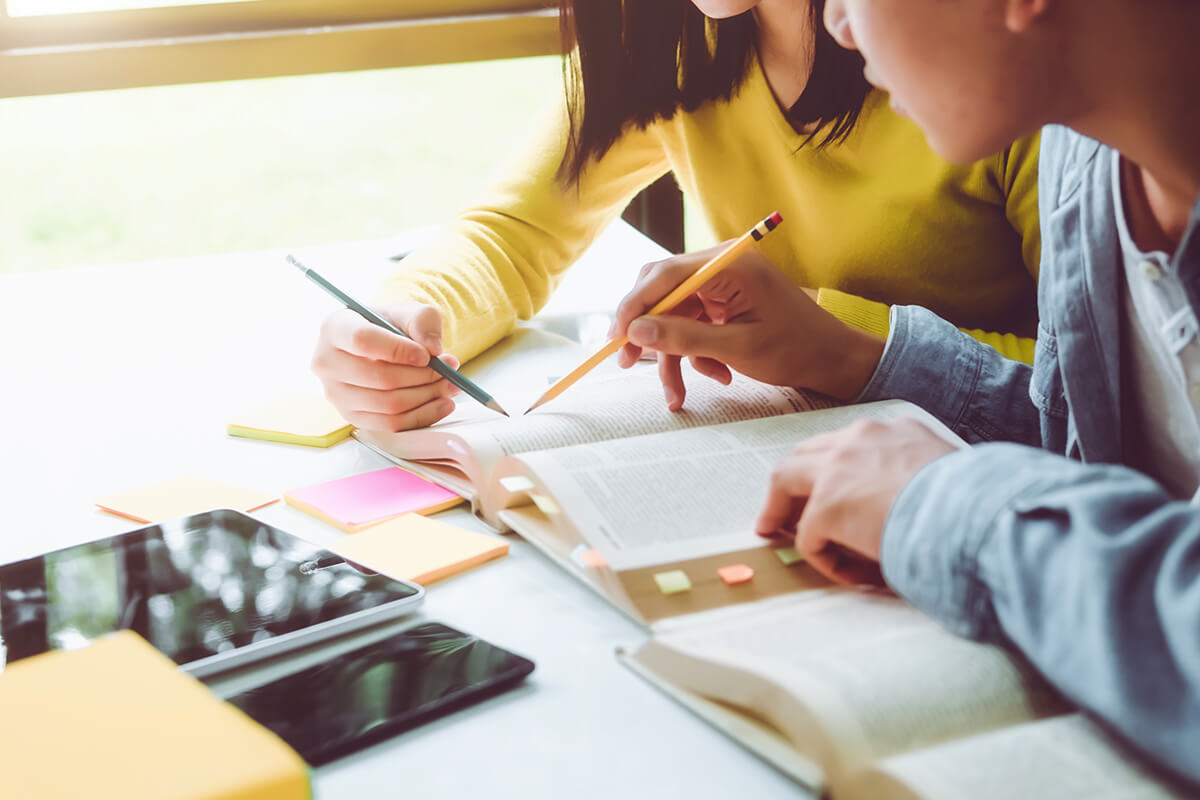 International Foundation Programme | SIM